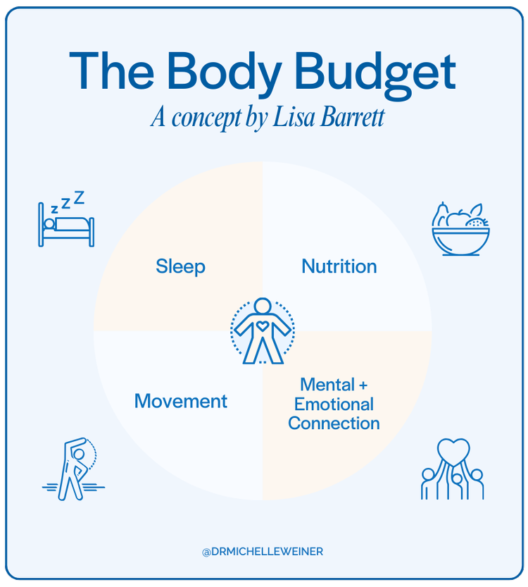Understanding Your Body Budget — Dr. Michelle Weiner at NeuroPain Health