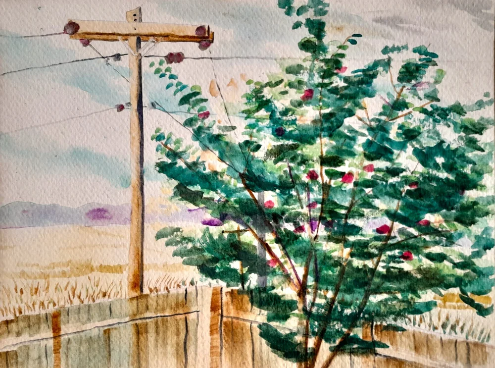 Paintings — Meredith Britt - Art