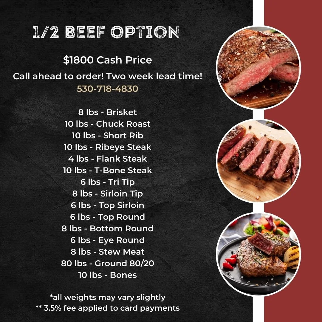 Contact 2 — TBones Meat Shop