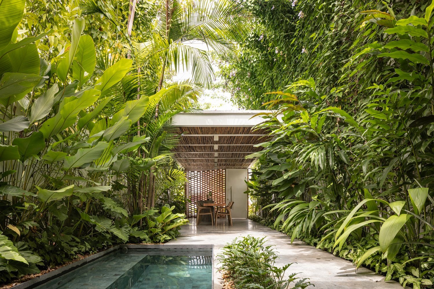 Tropical Shed - Laurent Troost Architectures — Greenitecture