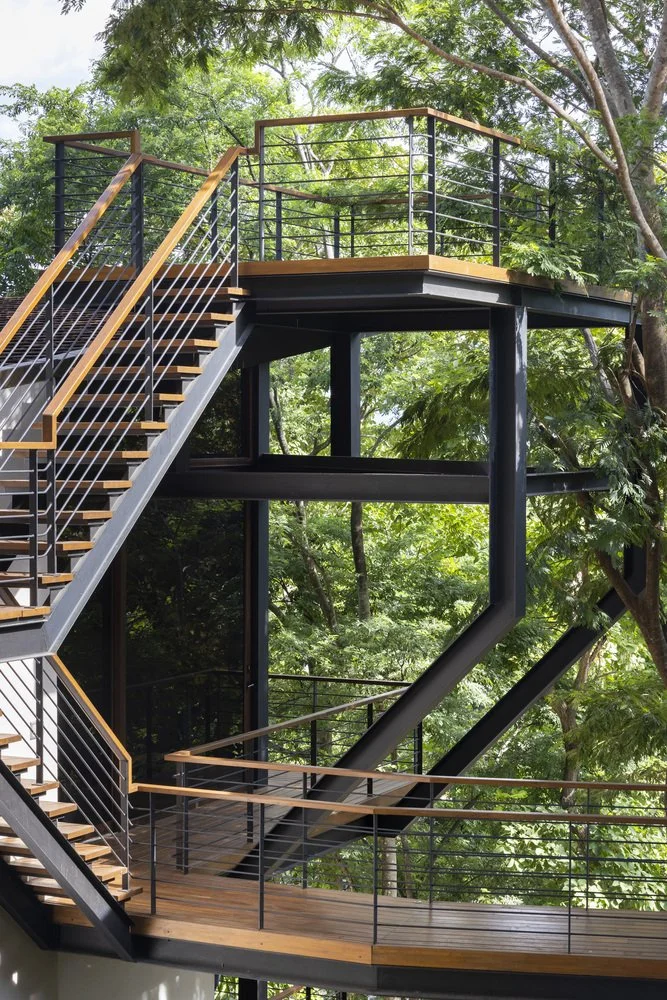 Tree House - Casalvolone Arquitectura — Greenitecture
