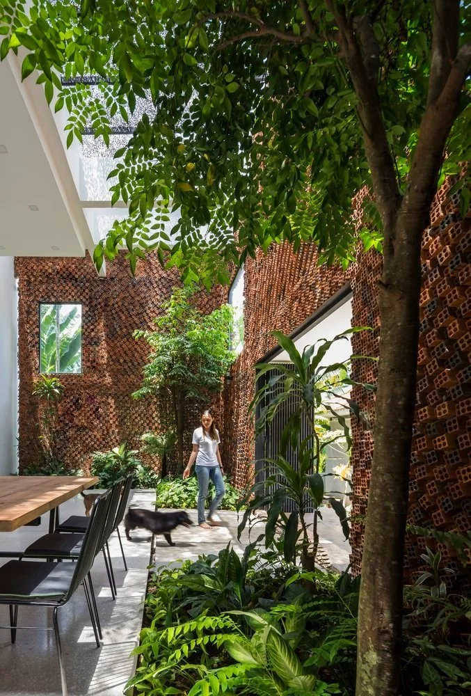 Wall House - Creative Architects — Greenitecture