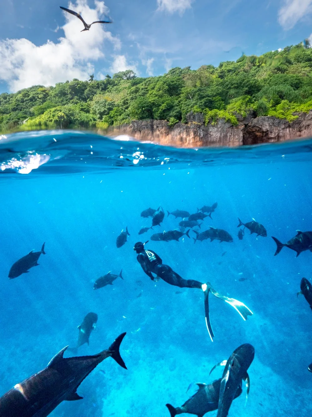 MARINE LIFE — Christmas Island