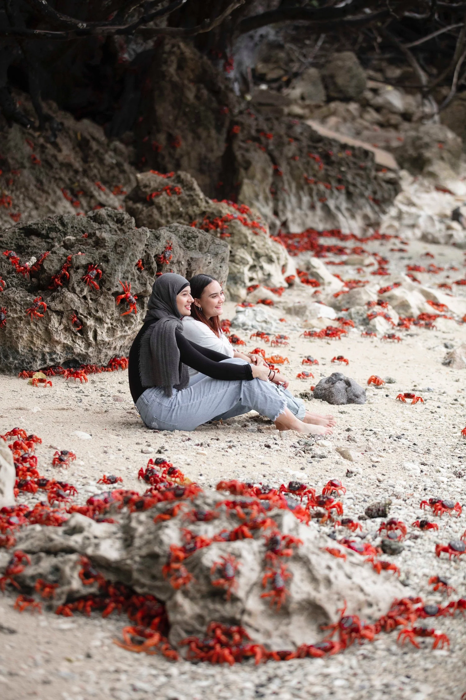 Red Crab Migration — Christmas Island