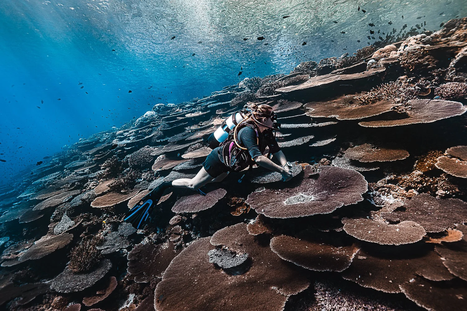 Christmas Island National Park — Christmas Island