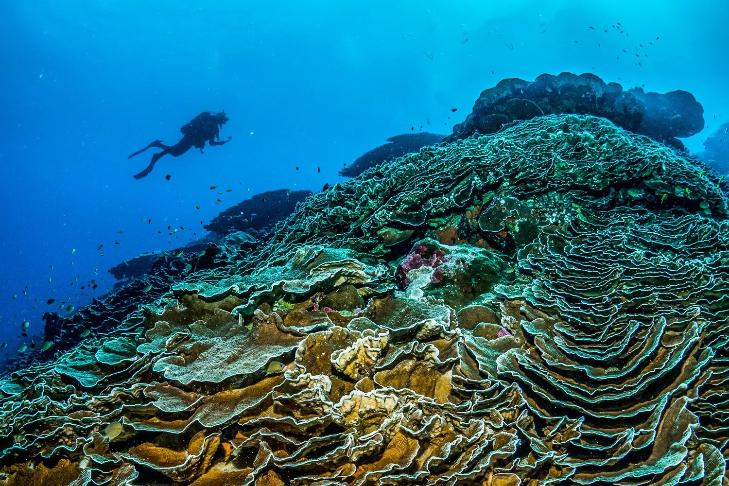 7-Day Travel Itinerary — Christmas Island