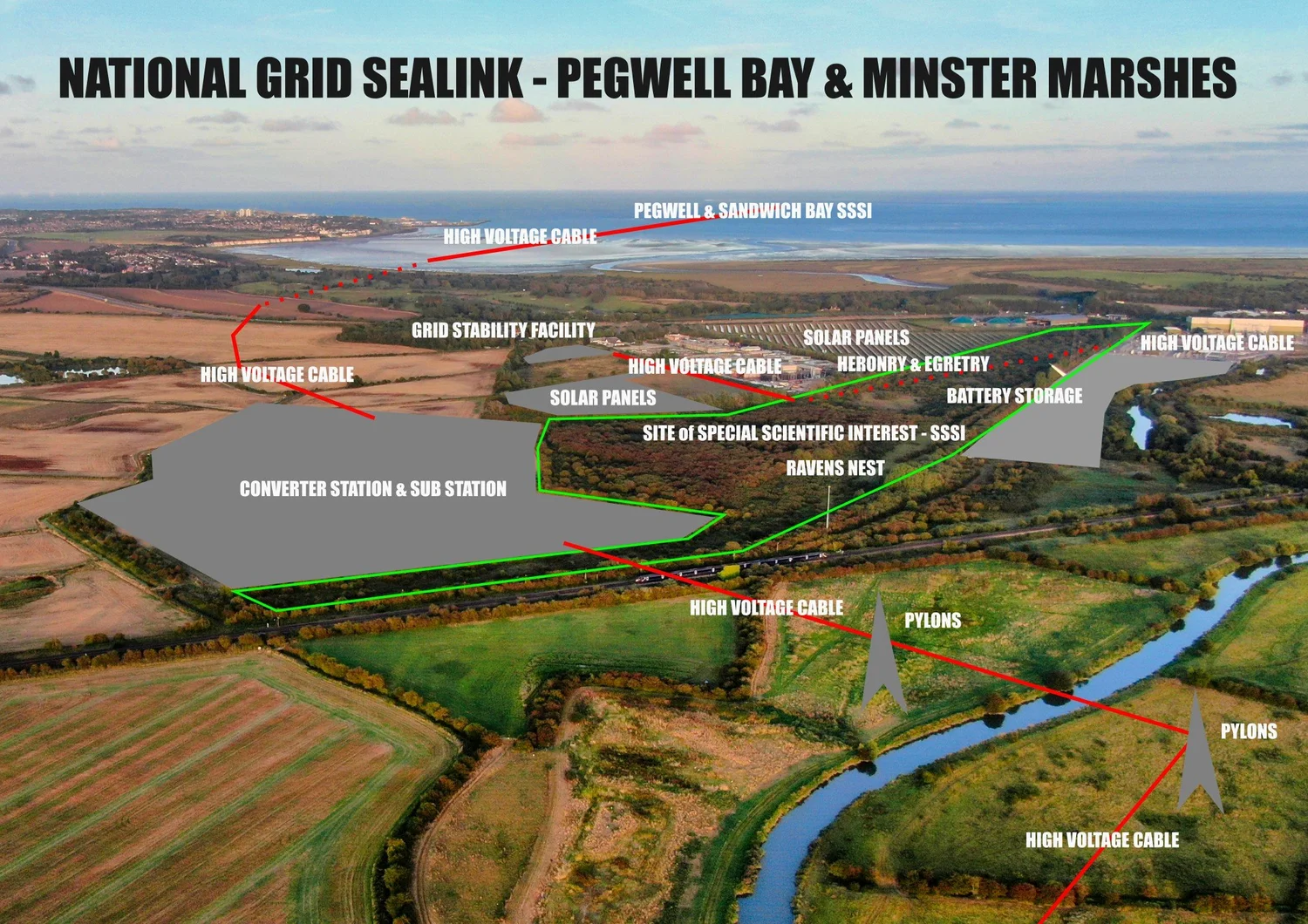 Save Minster Marshes | Wildlife