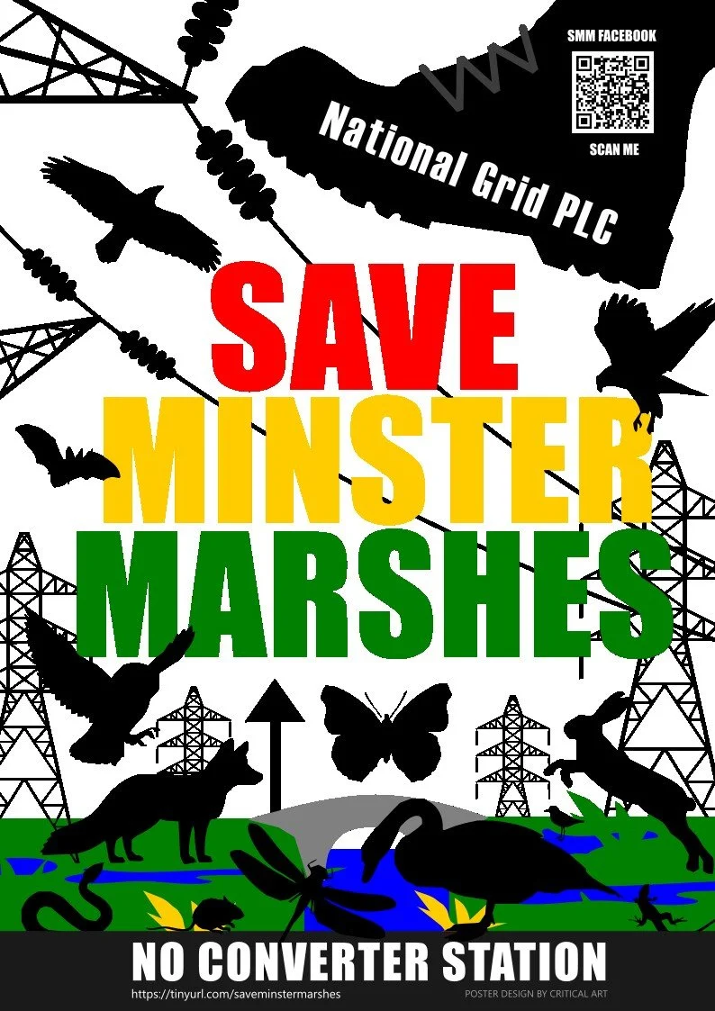 Save Minster Marshes | Sign Petition