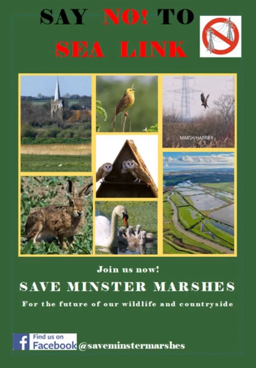Save Minster Marshes | Sign Petition
