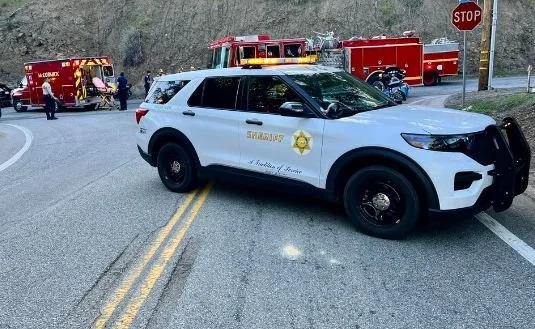 Los Angeles County Sheriff's Department Volunteer Association