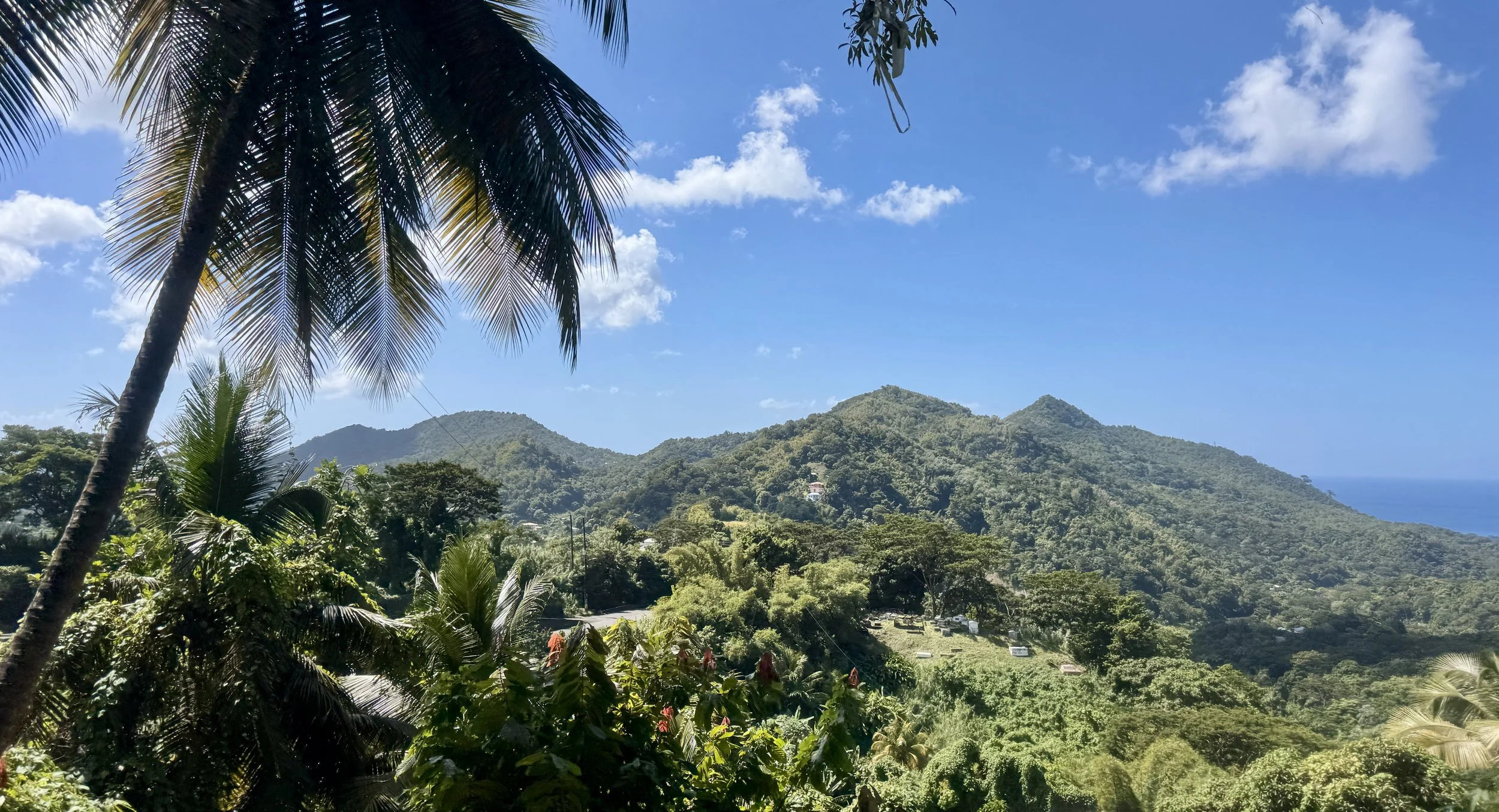 A Day in Grenada. — The Roads Not Traveled