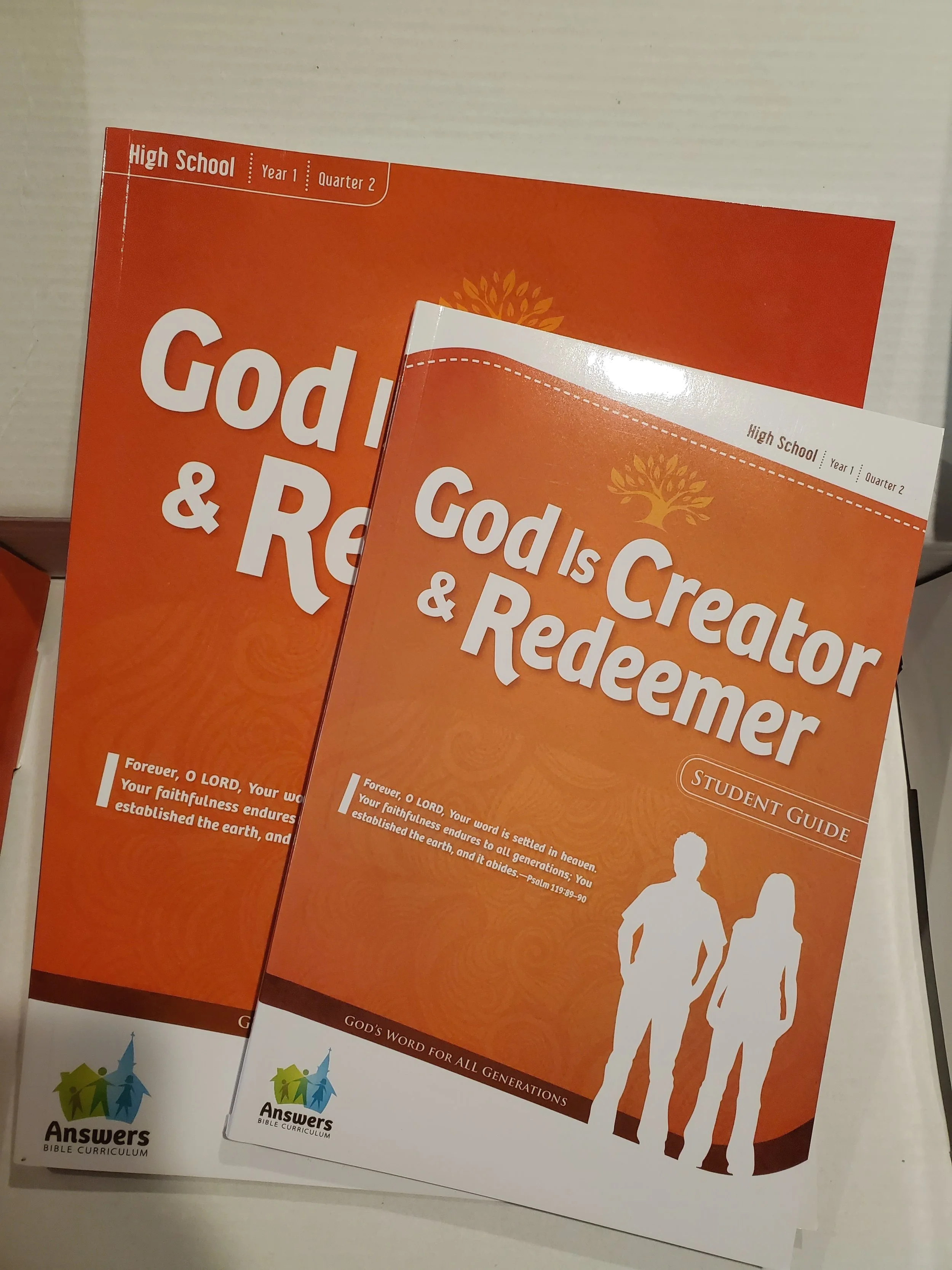 God is in Control Answers in Genesis Bible Curriculum — Tailored Homeschool