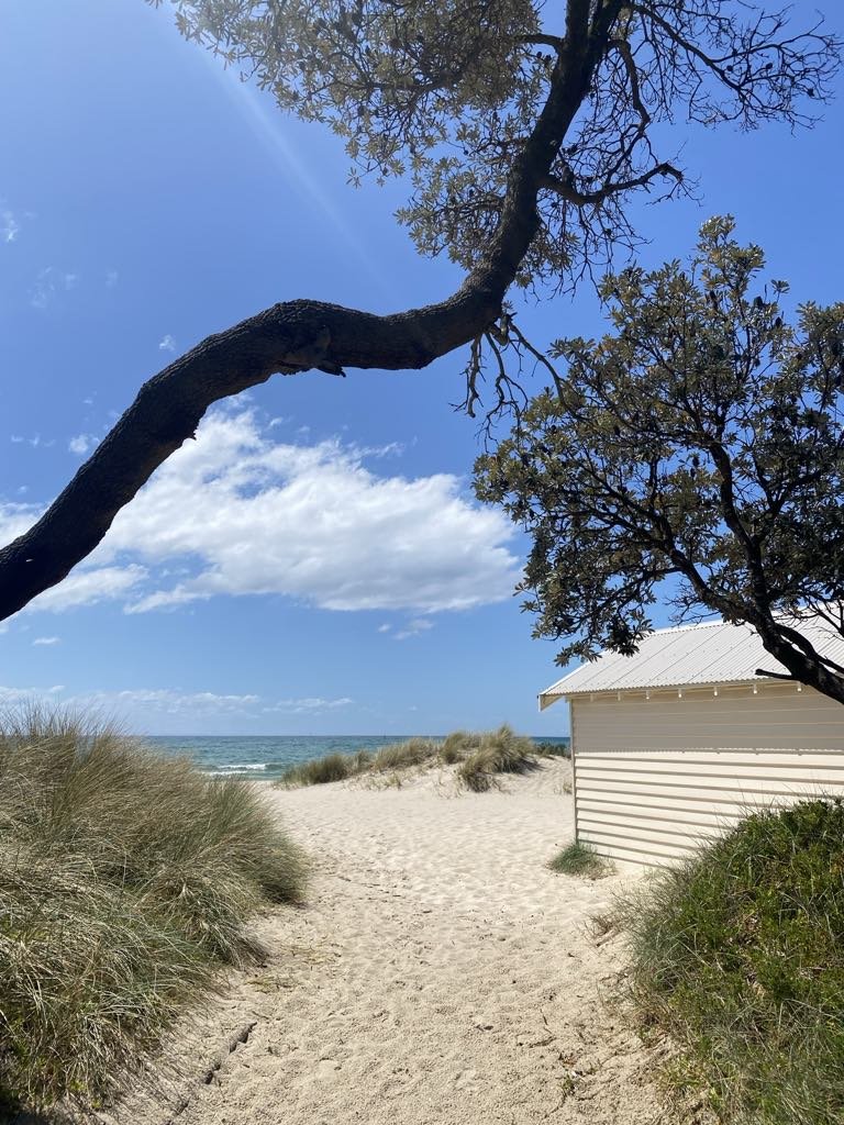Top Picnic Locations on the Mornington Peninsula | Scenic Spots for ...