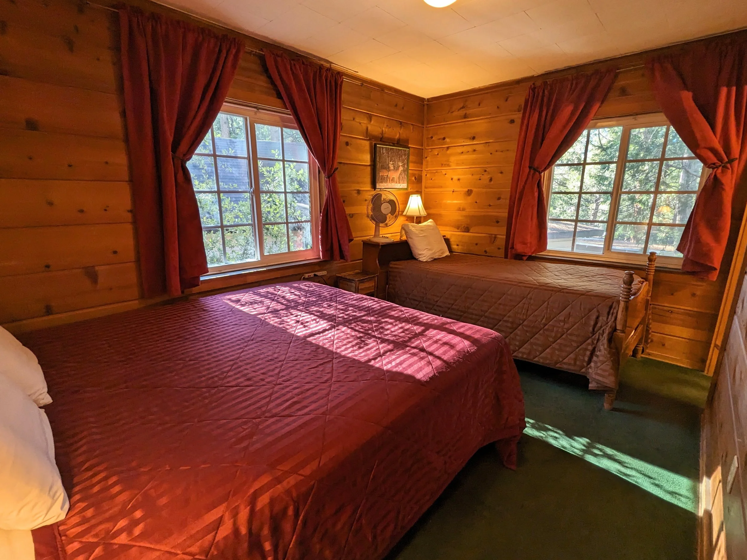 Hawk — Bluebird Cottage Inn