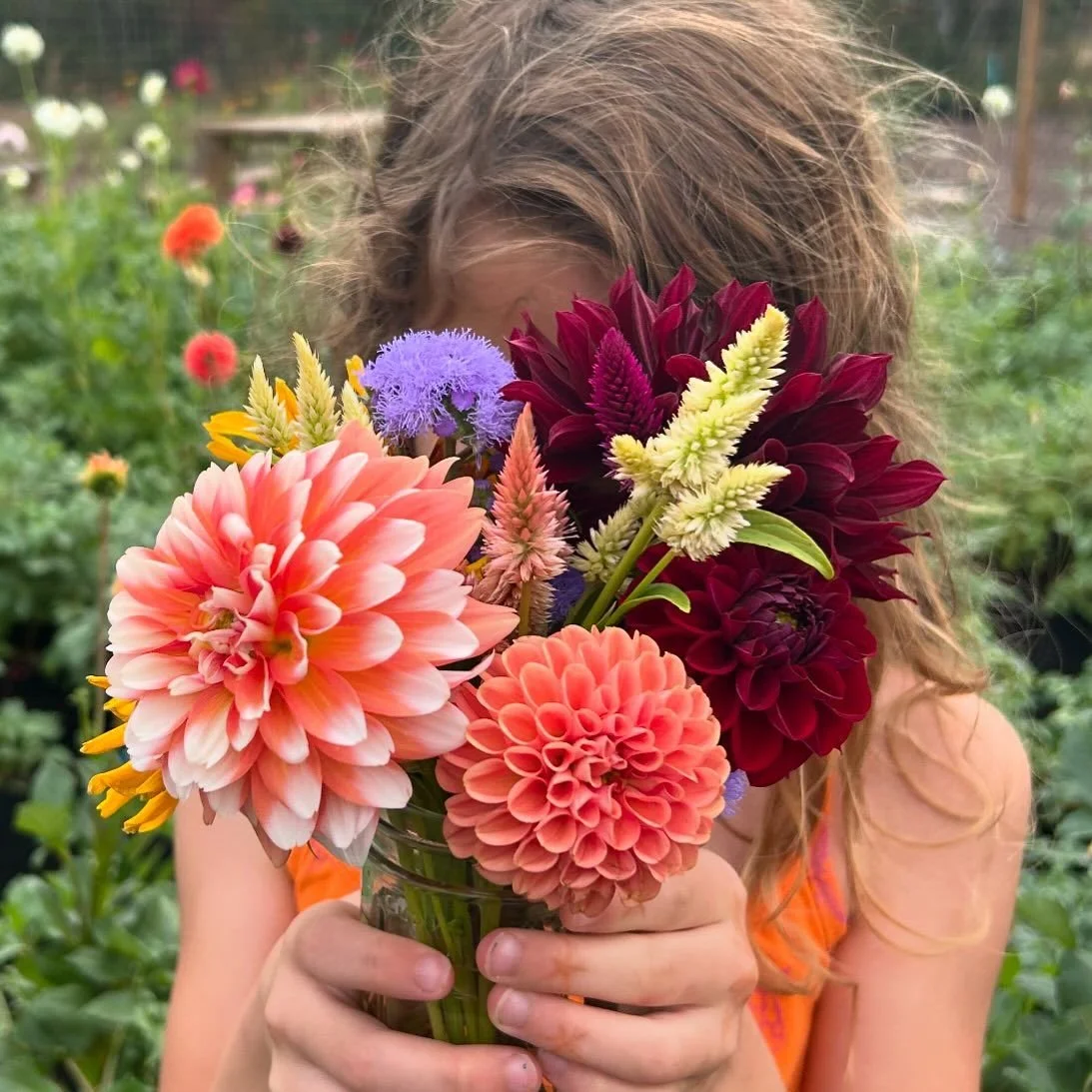 Wild Goose Flower Farm