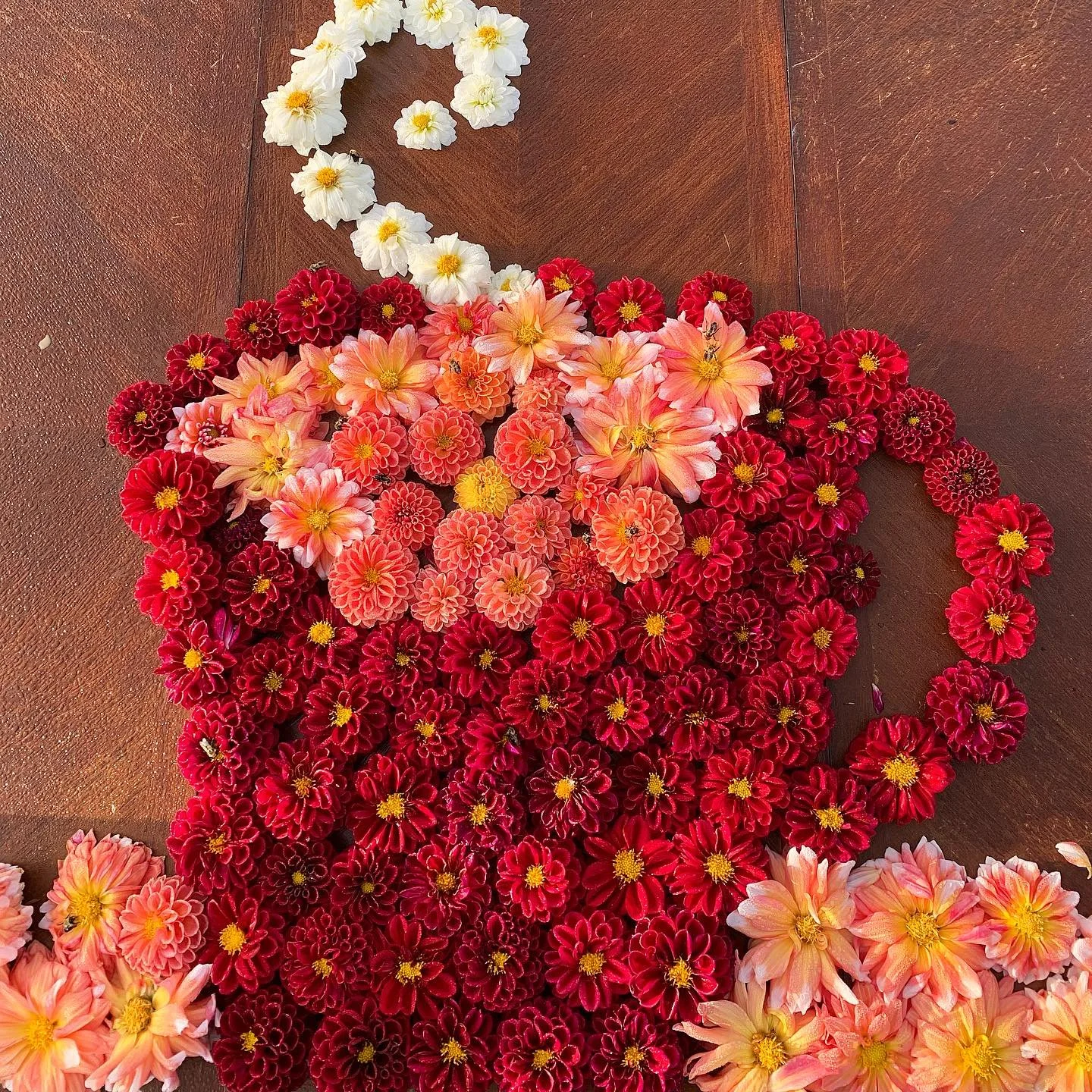 Wild Goose Flower Farm
