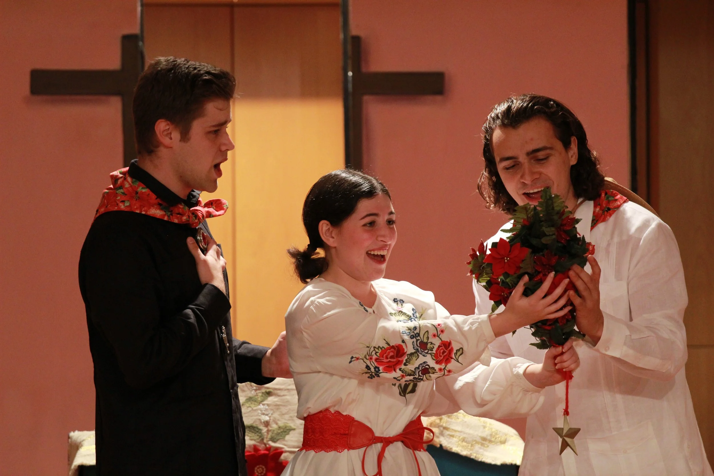 Lucinda y las Flores de la Nochebuena — Erin Ridge