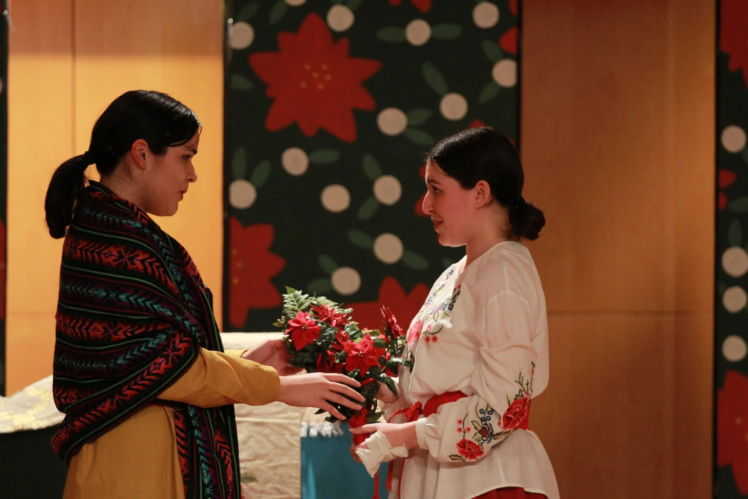 Lucinda y las Flores de la Nochebuena — Erin Ridge