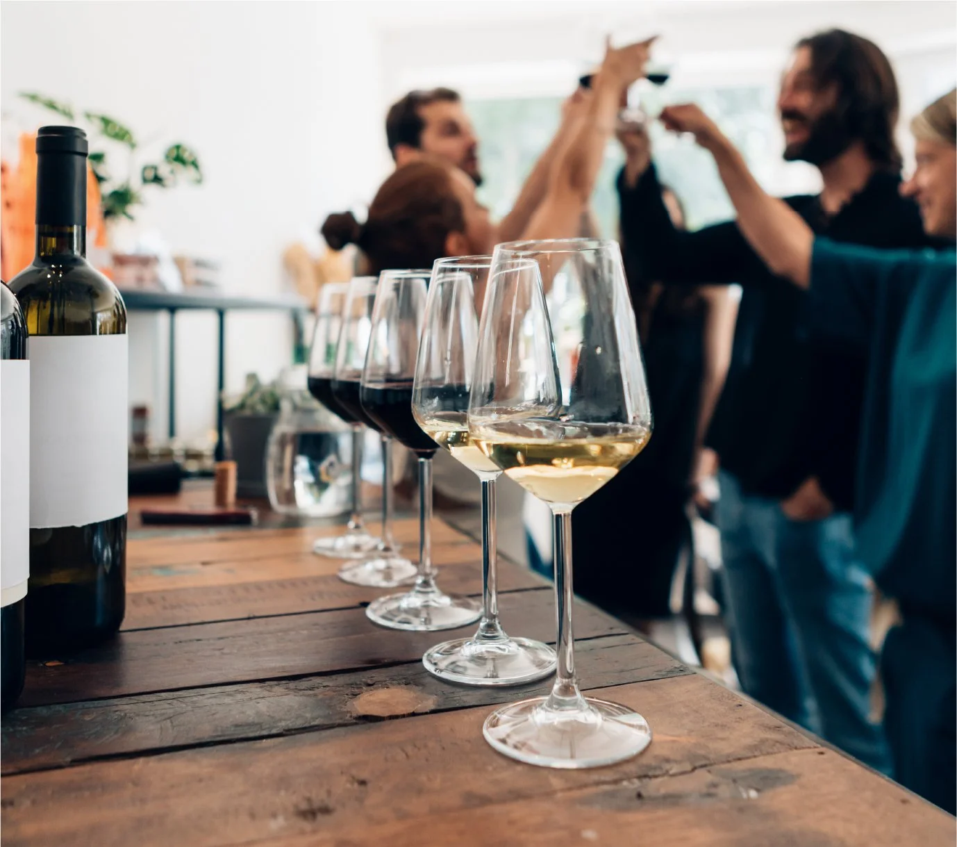 Wine Bar TEST — WE RISE WINES