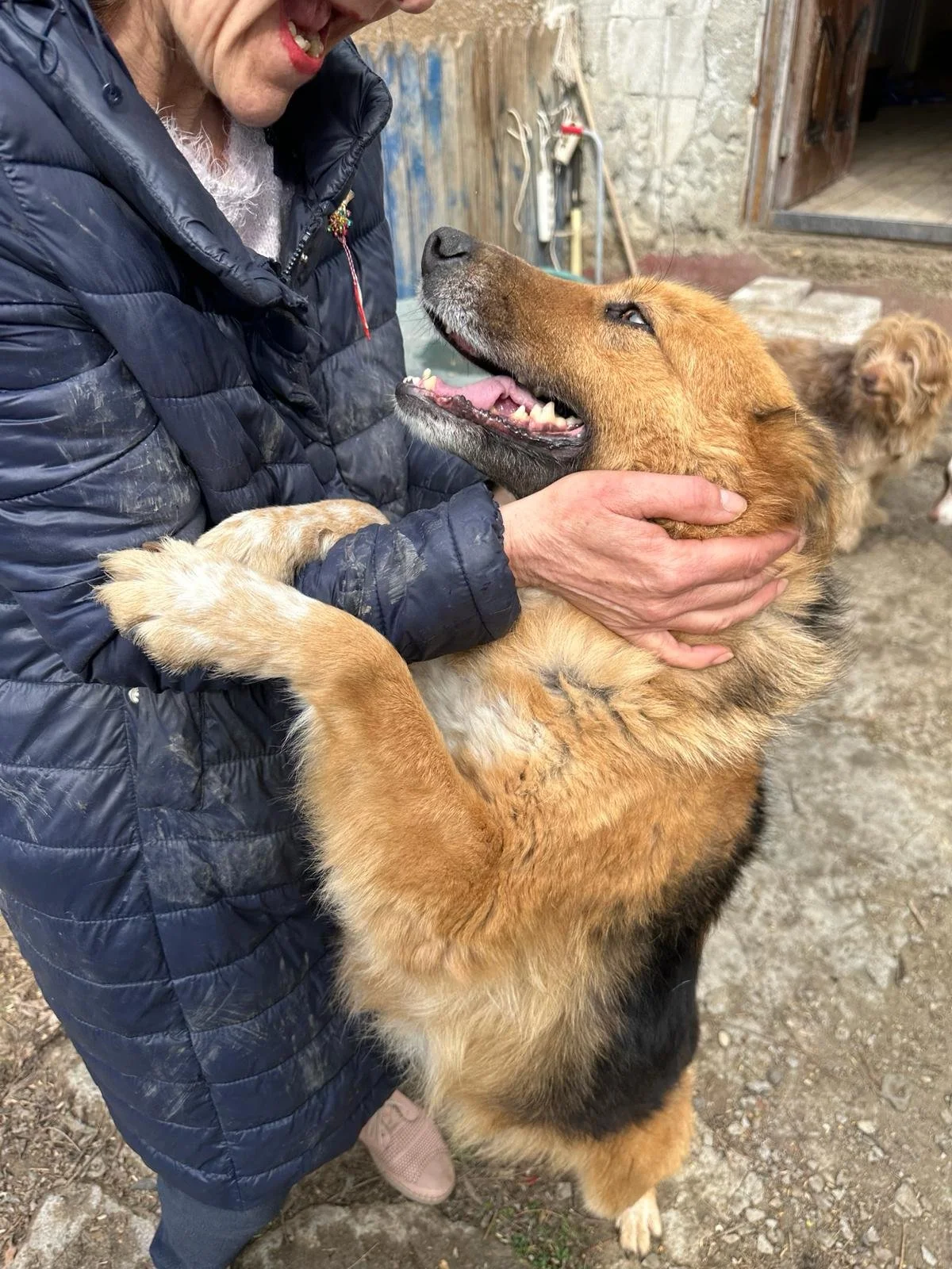 Coming Soon — Freedom Angels Romania