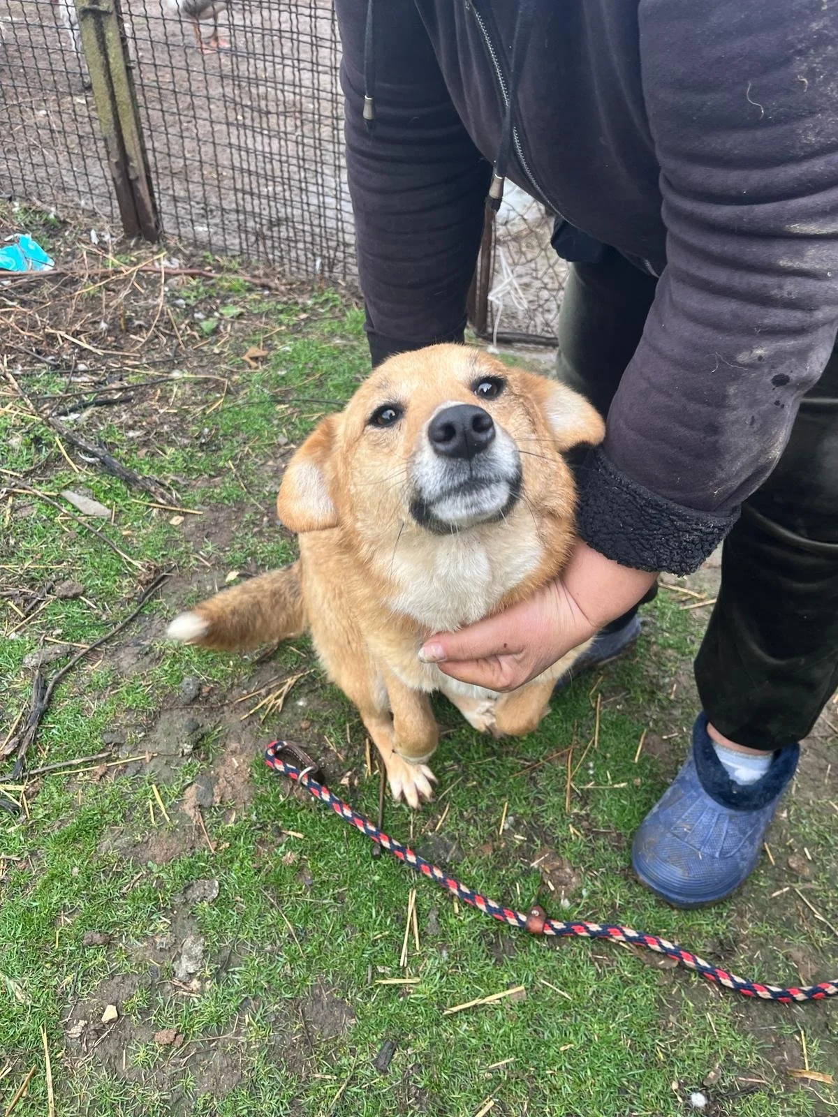 Coming Soon — Freedom Angels Romania