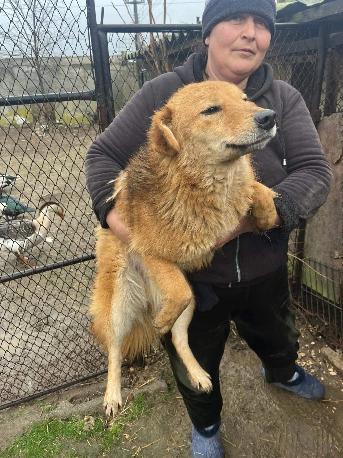 Coming Soon — Freedom Angels Romania