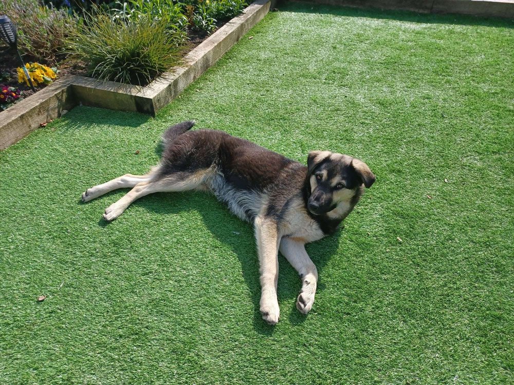 Baby Angels — Freedom Angels Romania