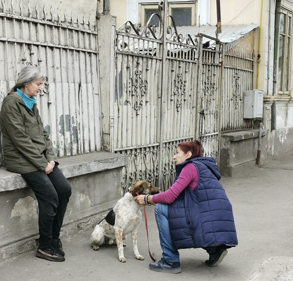 Our Story — Freedom Angels Romania