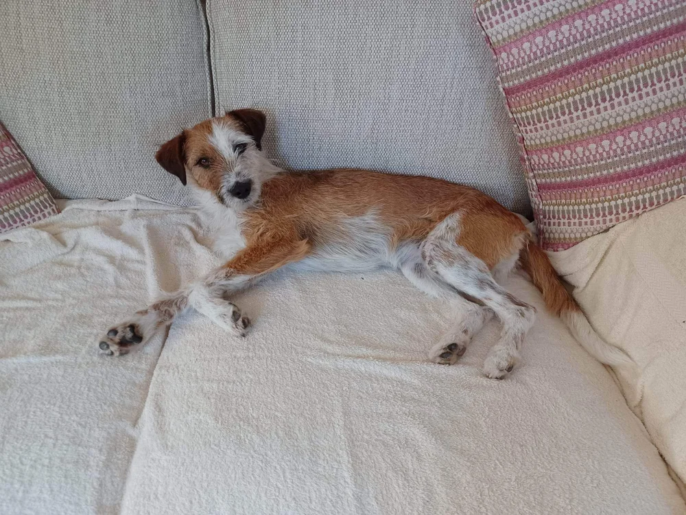 Contact Us — Freedom Angels Romania