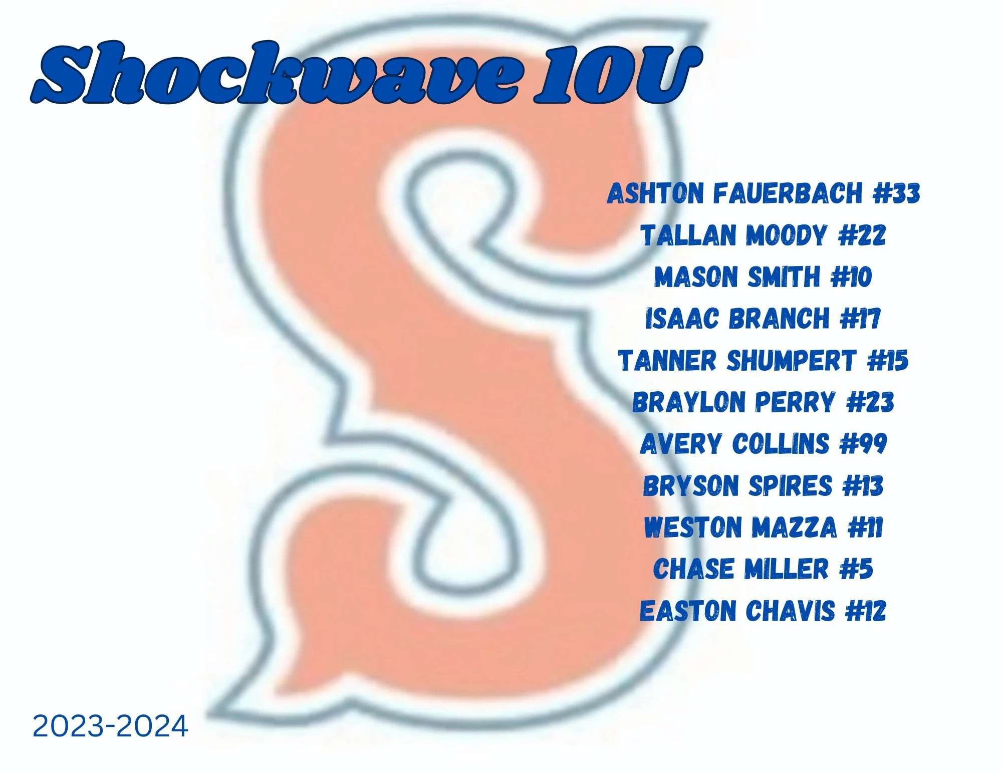 Our Instructors — Shockwave Baseball