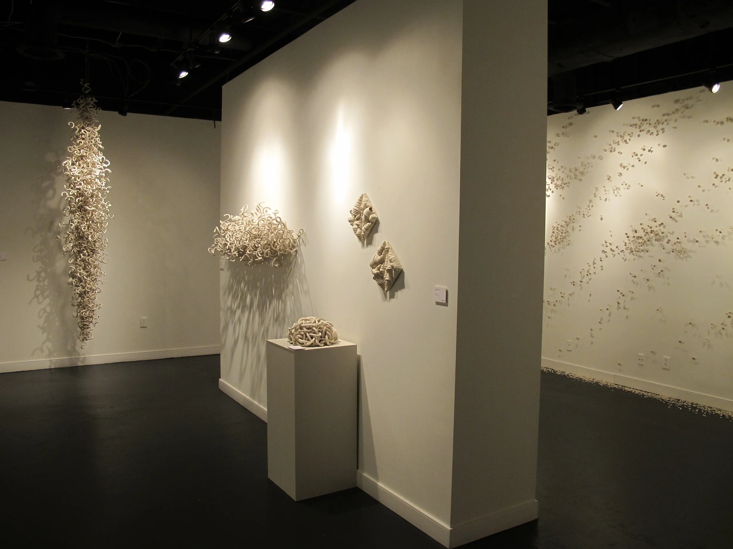 Pause — Laurel Lukaszewski