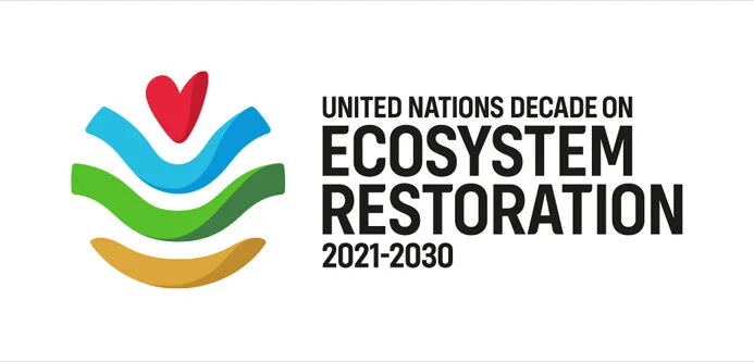 A Decade of Ecosystem Restoration — RAIN