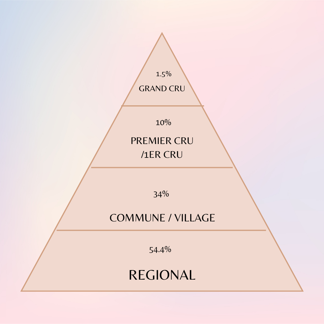 Deep Dive Into Burgundy Wine Classifications — Pour Decisions