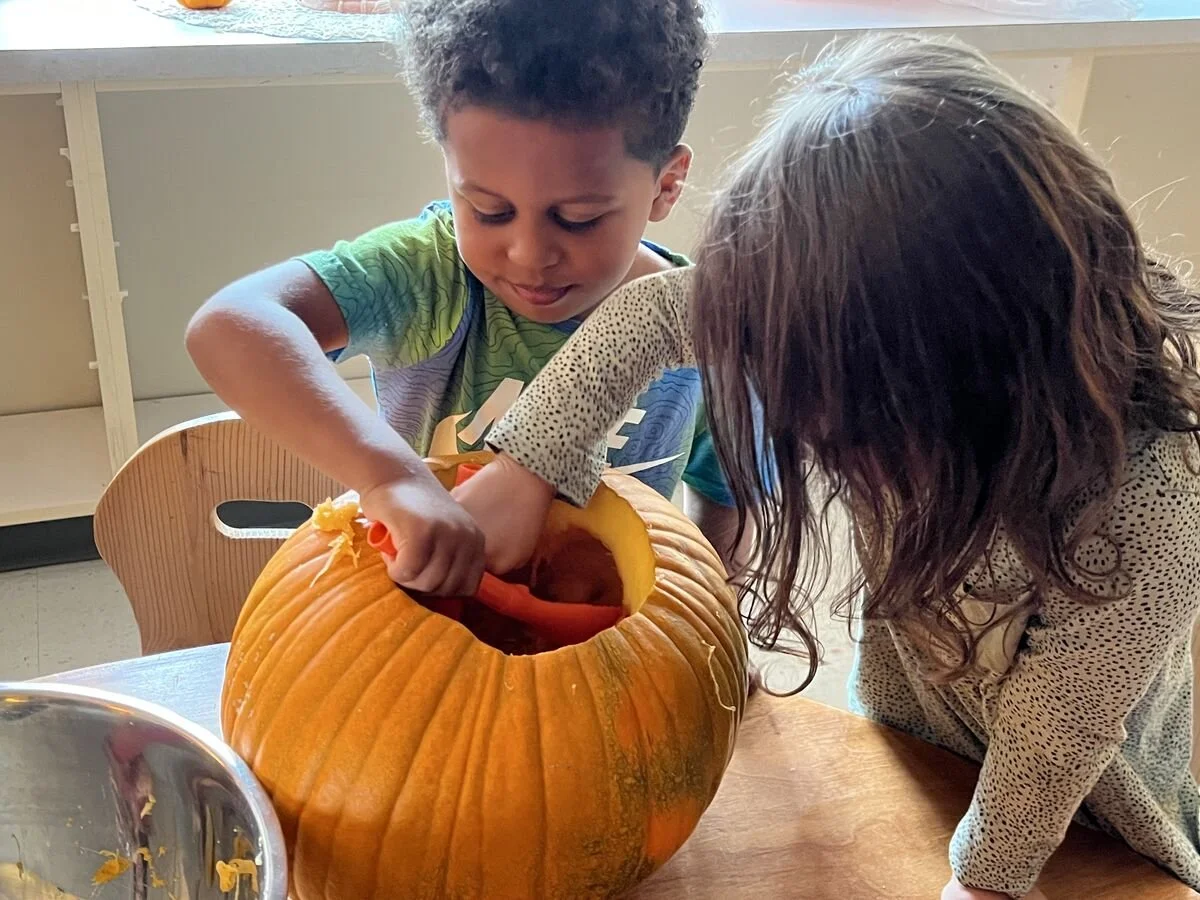 Early Childhood (PreK & K) — Swallowtail Waldorf School & Farm