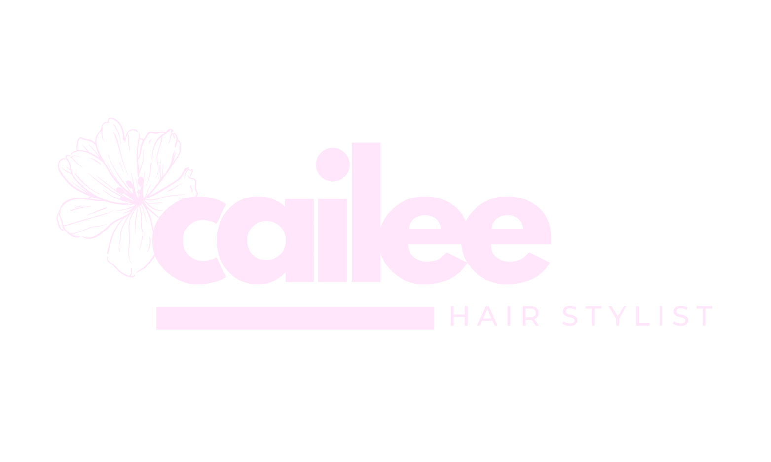 Book Appointment — Hair by Cailee