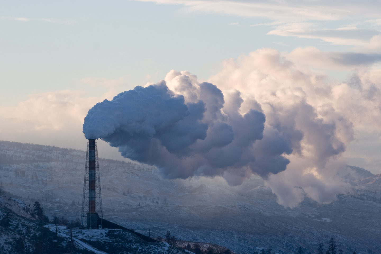 NPI and NGER Reporting: What You Need to Know Before The Financial Year ...