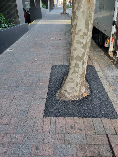 Porous Lane Permeable Tree Surrounds — Porous Lane