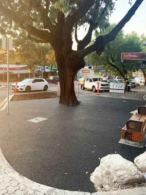 Porous Lane Permeable Tree Surrounds — Porous Lane