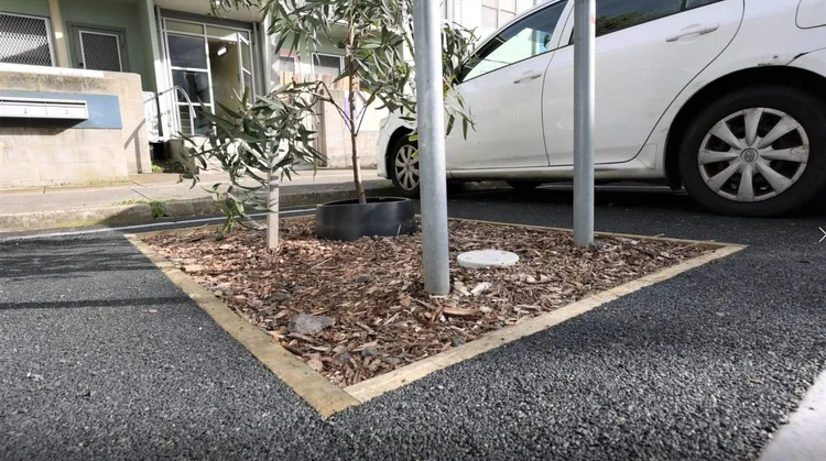 Porous Lane Permeable Tree Surrounds — Porous Lane