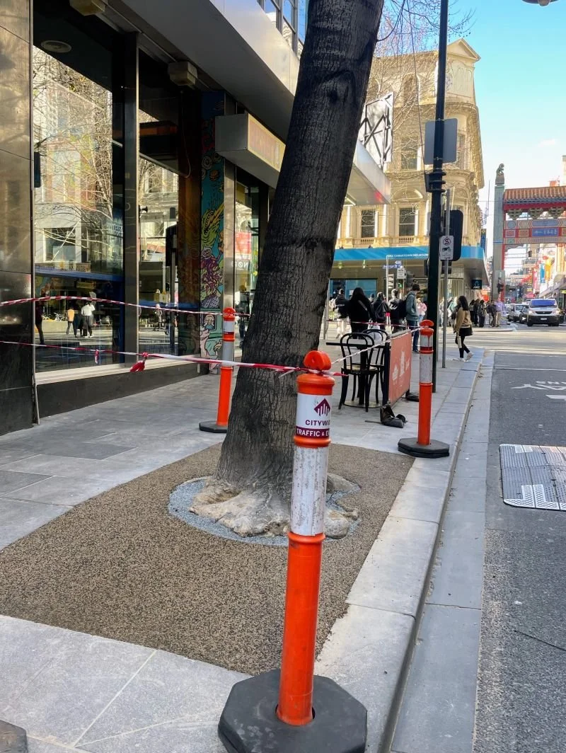 Porous Lane Permeable Tree Surrounds — Porous Lane
