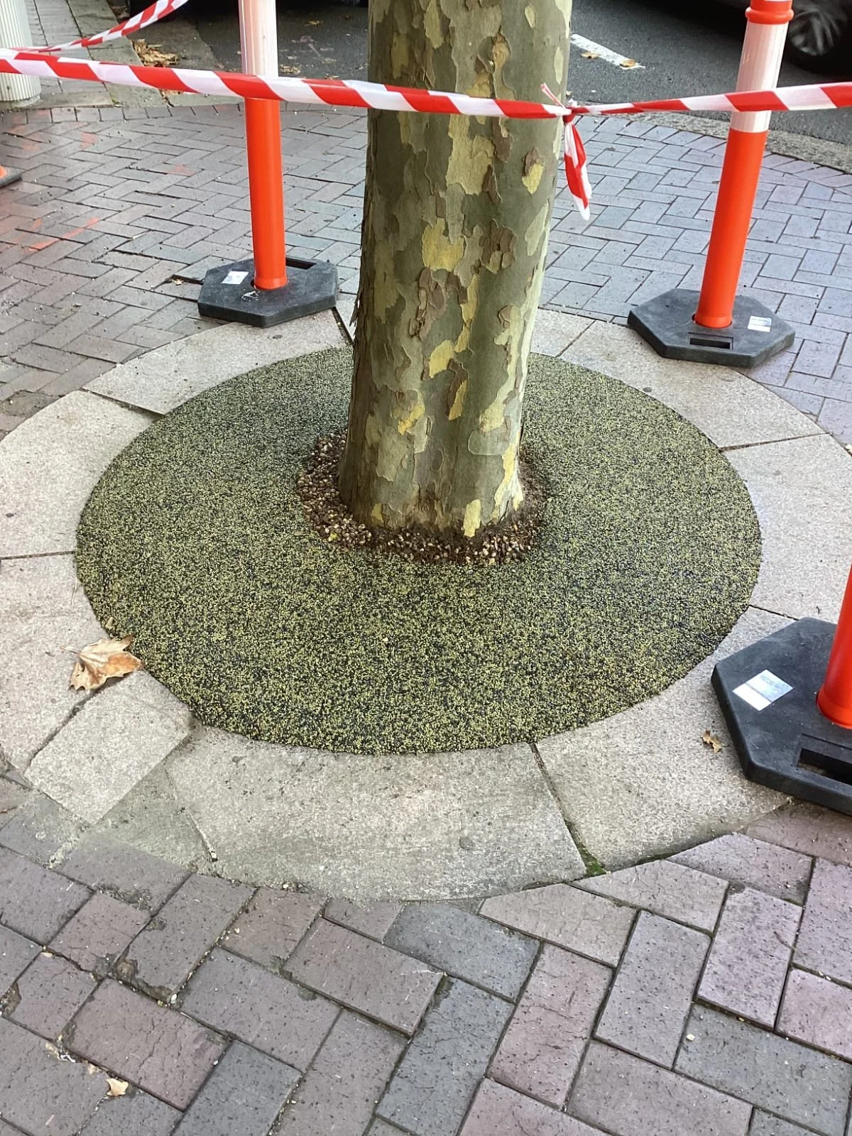 Projects — Porous Lane