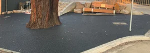 Porous Lane Permeable Tree Surrounds — Porous Lane