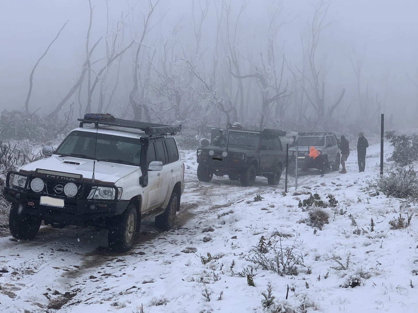 4x4 Explore — Davies Plain 4WD tagalong tour