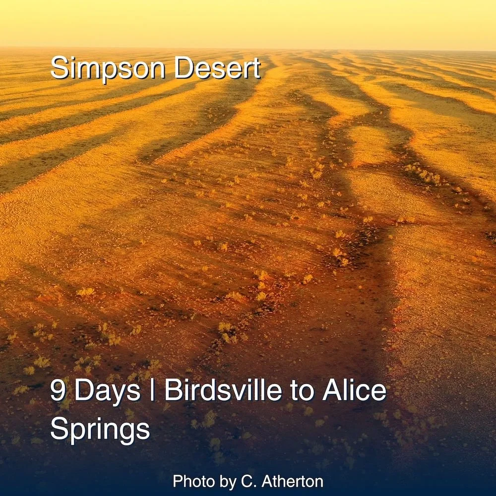 4x4 Explore — Simpson Desert (West to East) 4WD tagalong tour