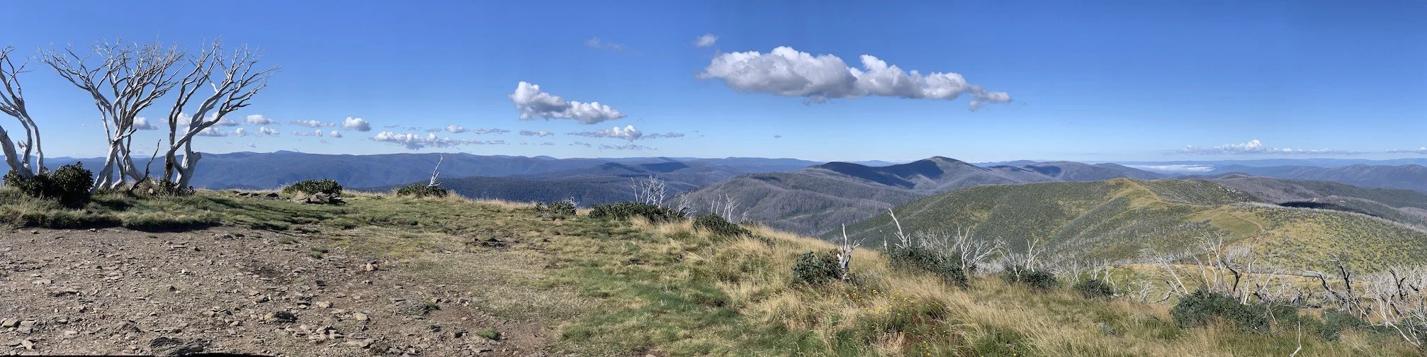 4x4 Explore — Davies Plain 4WD tagalong tour