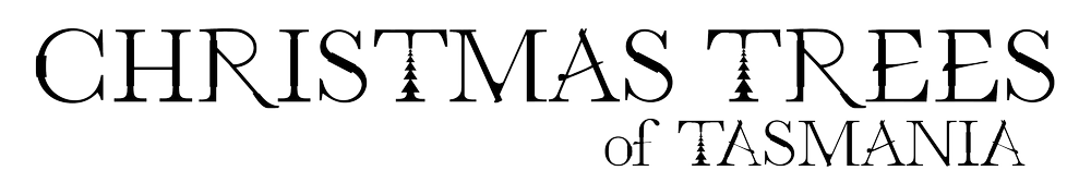 Christmas Trees of Tasmania — Lalla Valley Farm