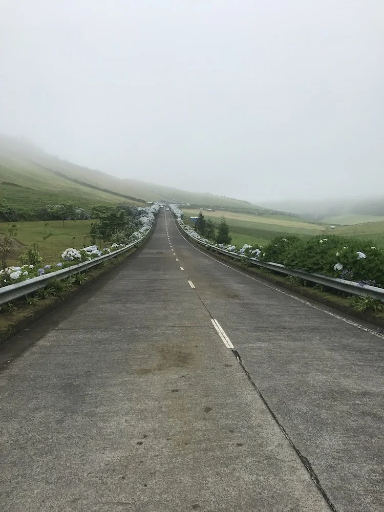 Renting a Camper Van in the Azores (São Miguel): Family Guide [Updated ...