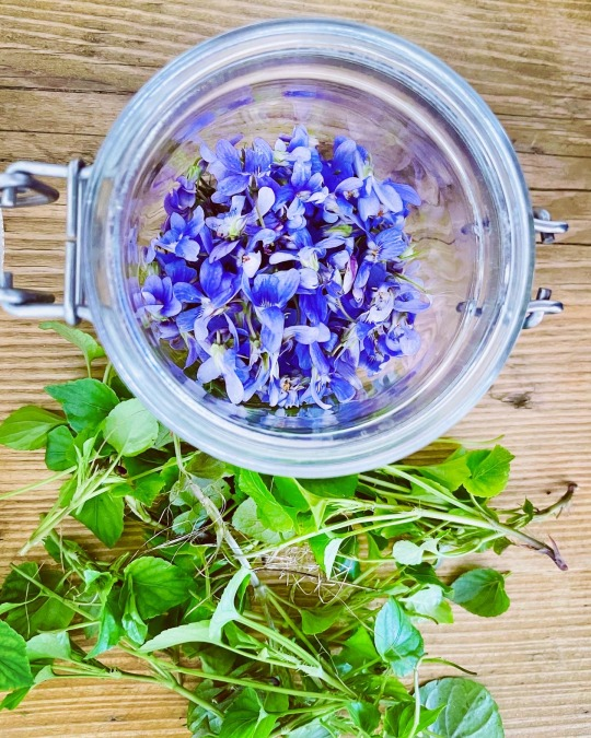 Winter Releasing — The Greene Chapel