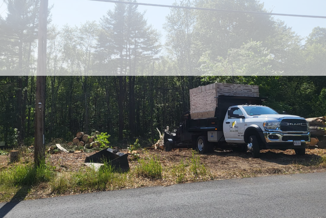 About 5 — Tree Worx Unlimited