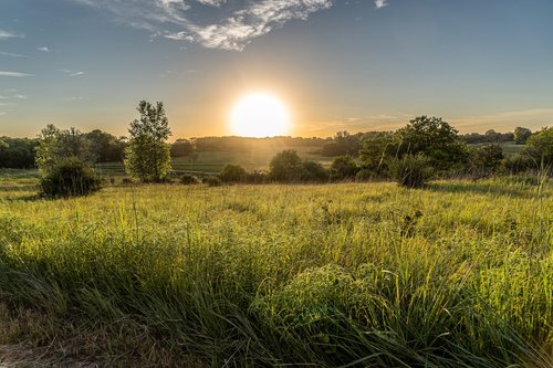Prairie Roots Integrative Psychiatry | Healing At Your Roots